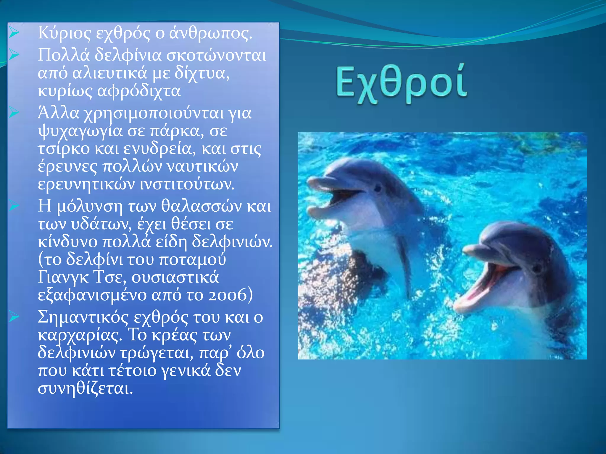 δελφίνι | PPTX