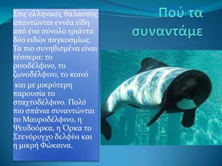 δελφίνι | PPTX