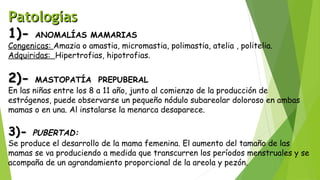 Patologías de las Mamas. Tratamiento quirúrgico y kinésico ppt | PPT