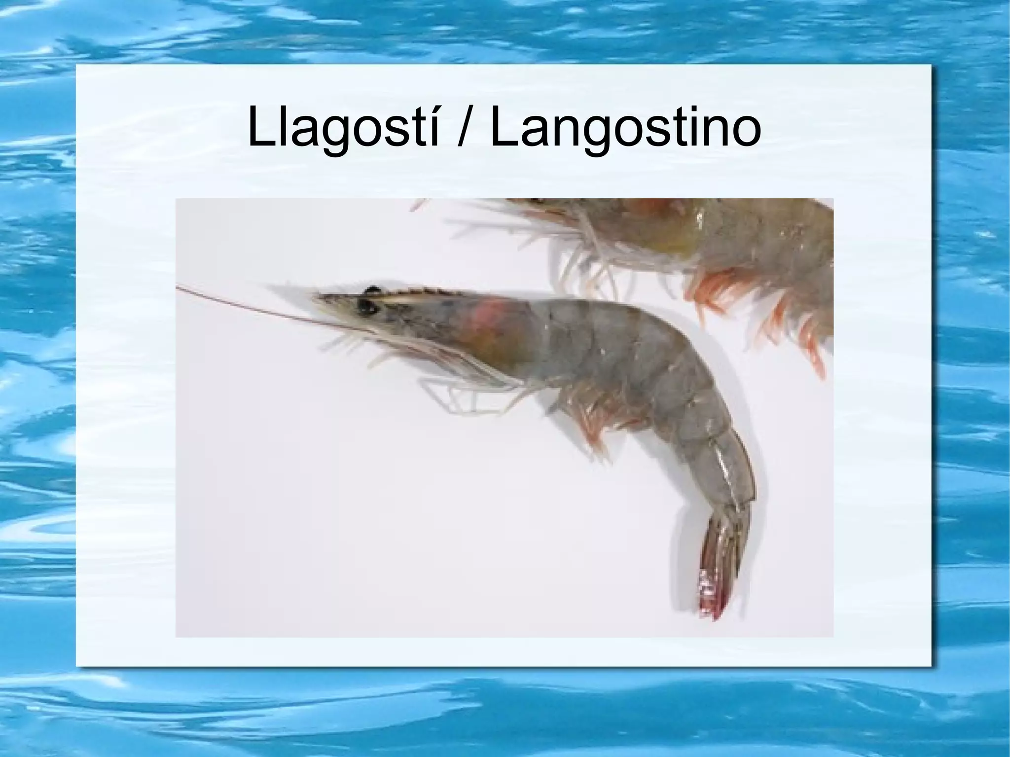 Peixos que ens mengem | ODP