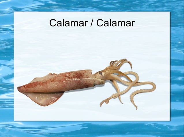 Peixos que ens mengem | ODP