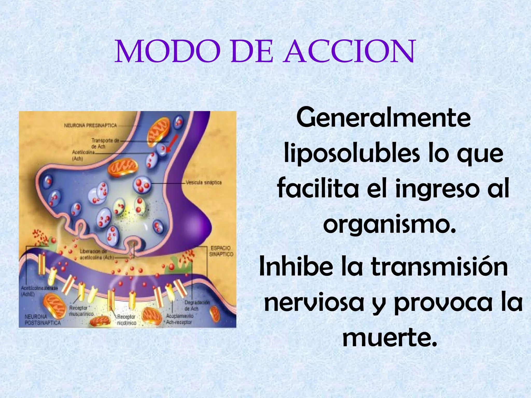 Plaguicidas. Carbamatos, Organoclorados, Organofosforados y Piretroides ...