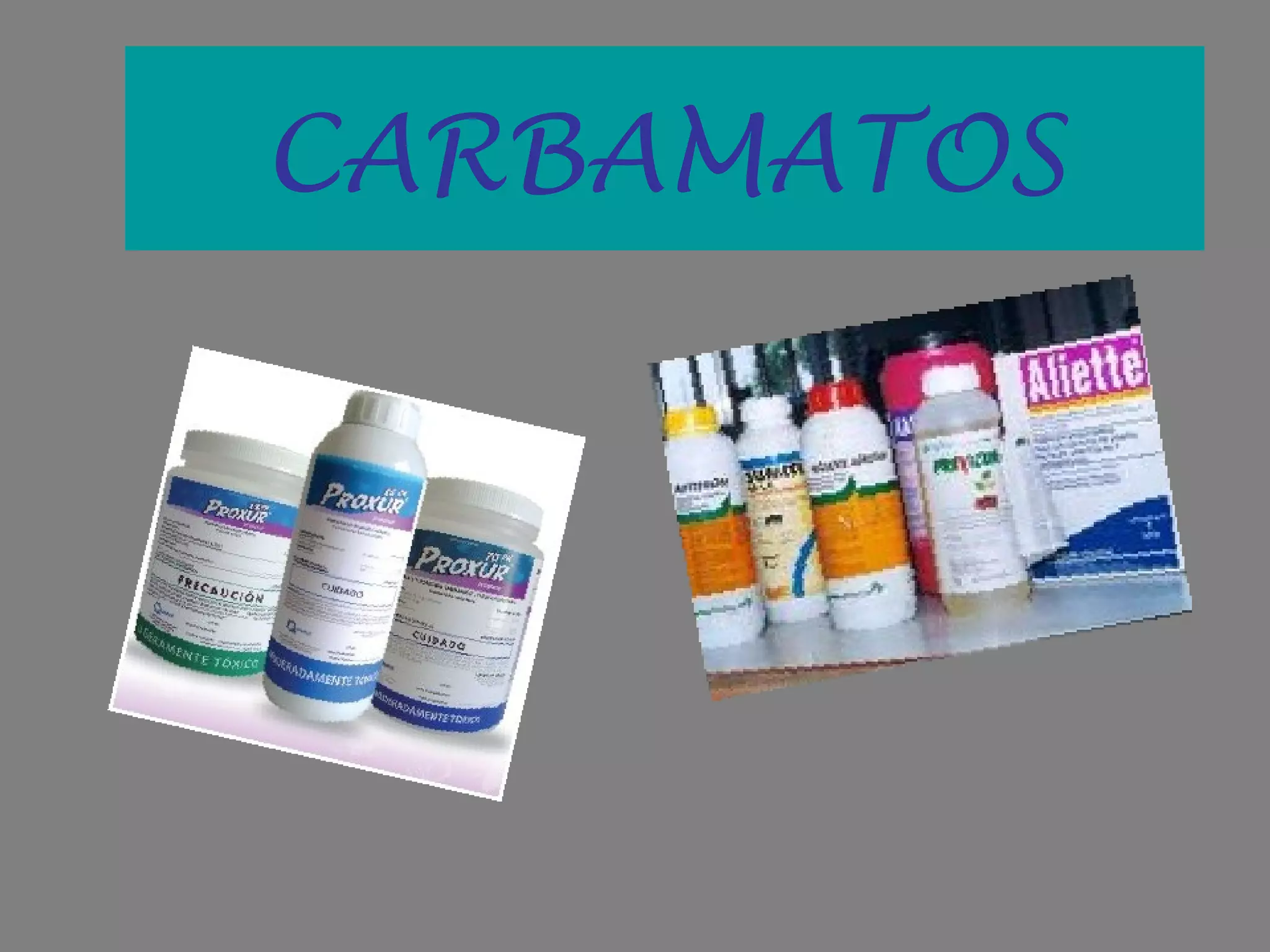 Plaguicidas. Carbamatos, Organoclorados, Organofosforados y Piretroides ...