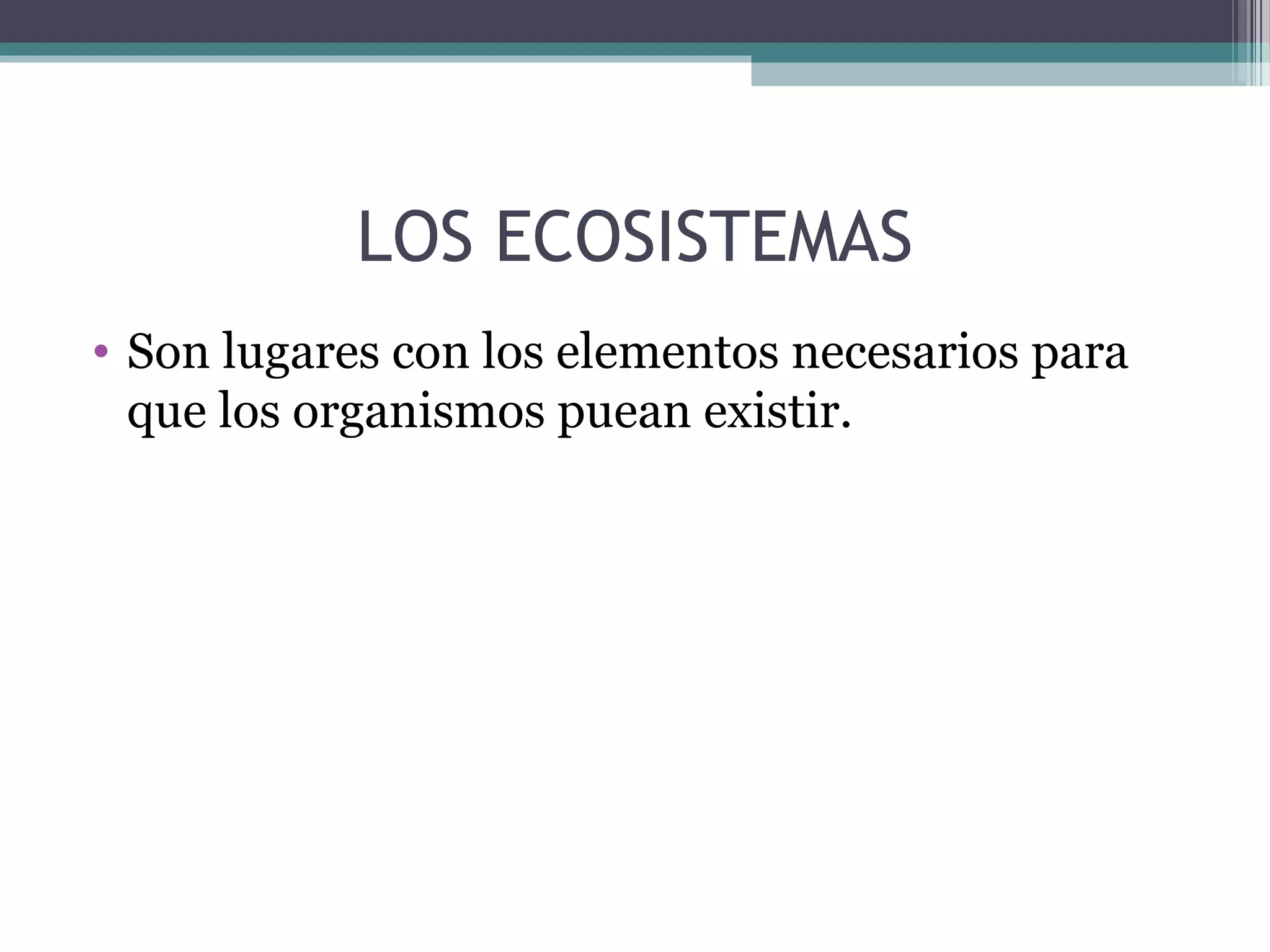 Ecosistemas de Puerton Rico | PPT