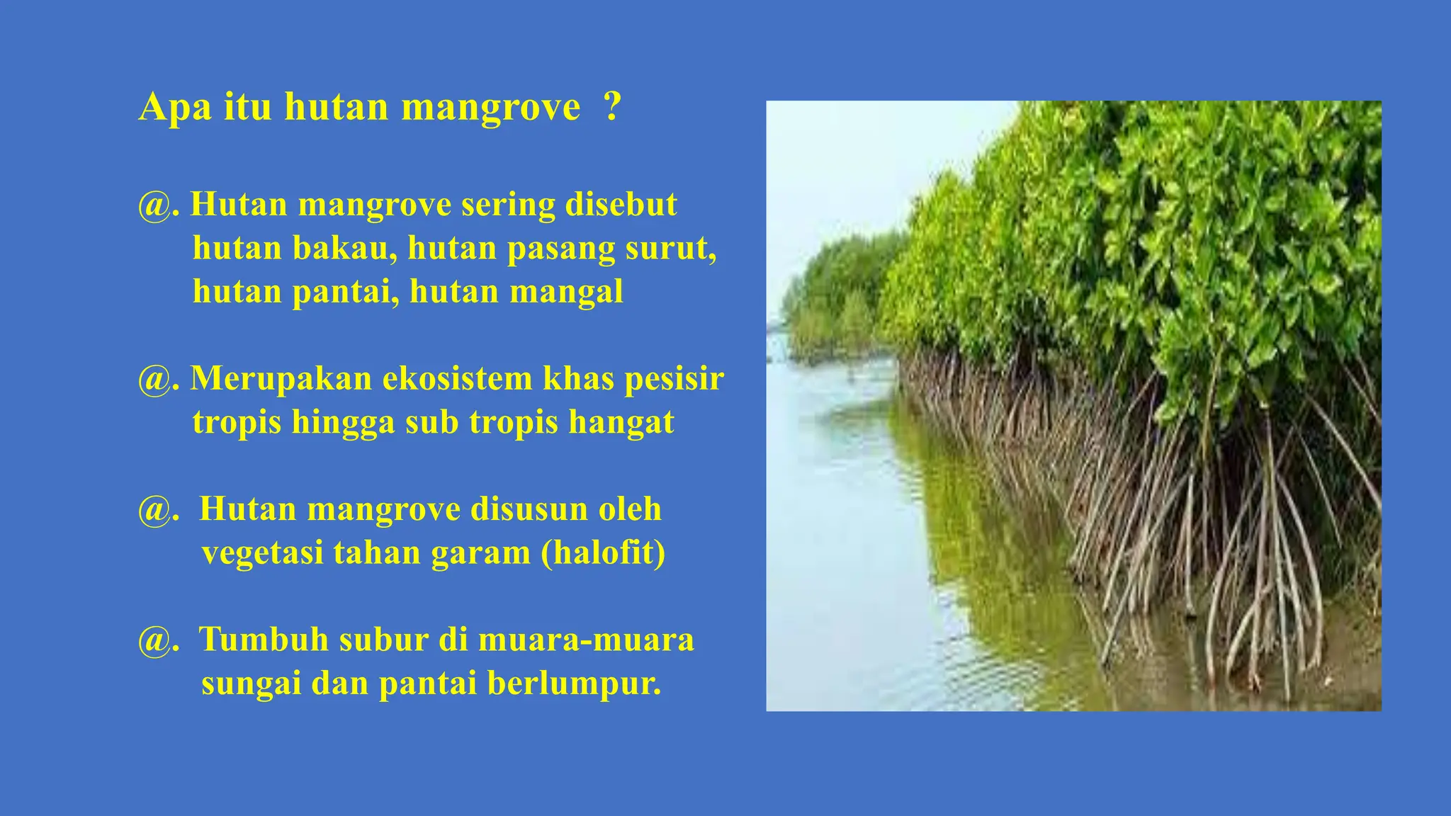 POTENSI EKONOMI BIRU EKOSISTEM MANGROVE.pptx