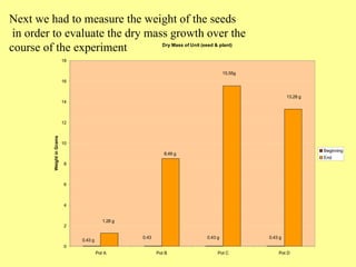 Barley Growth PowerPoint | PPT