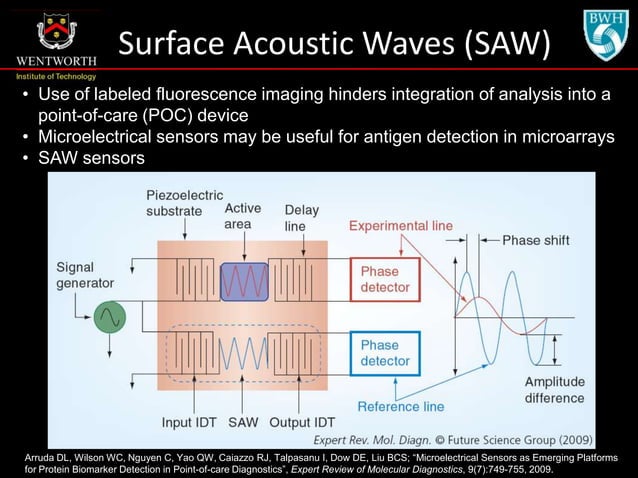 Surface Acoustic Wave Sensor for Protein Detection | PPTX