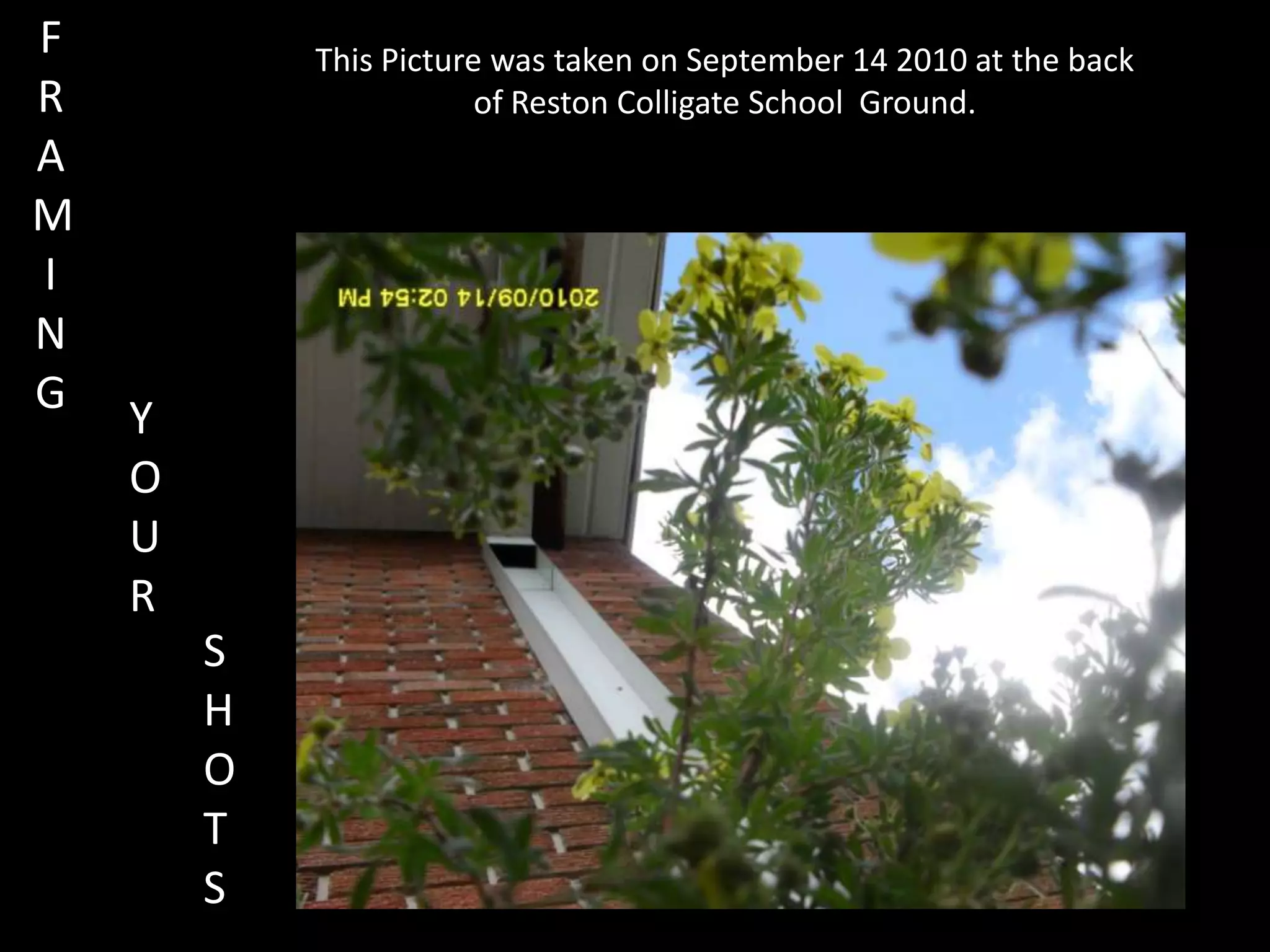 Composition Techniques Shana | PPTX