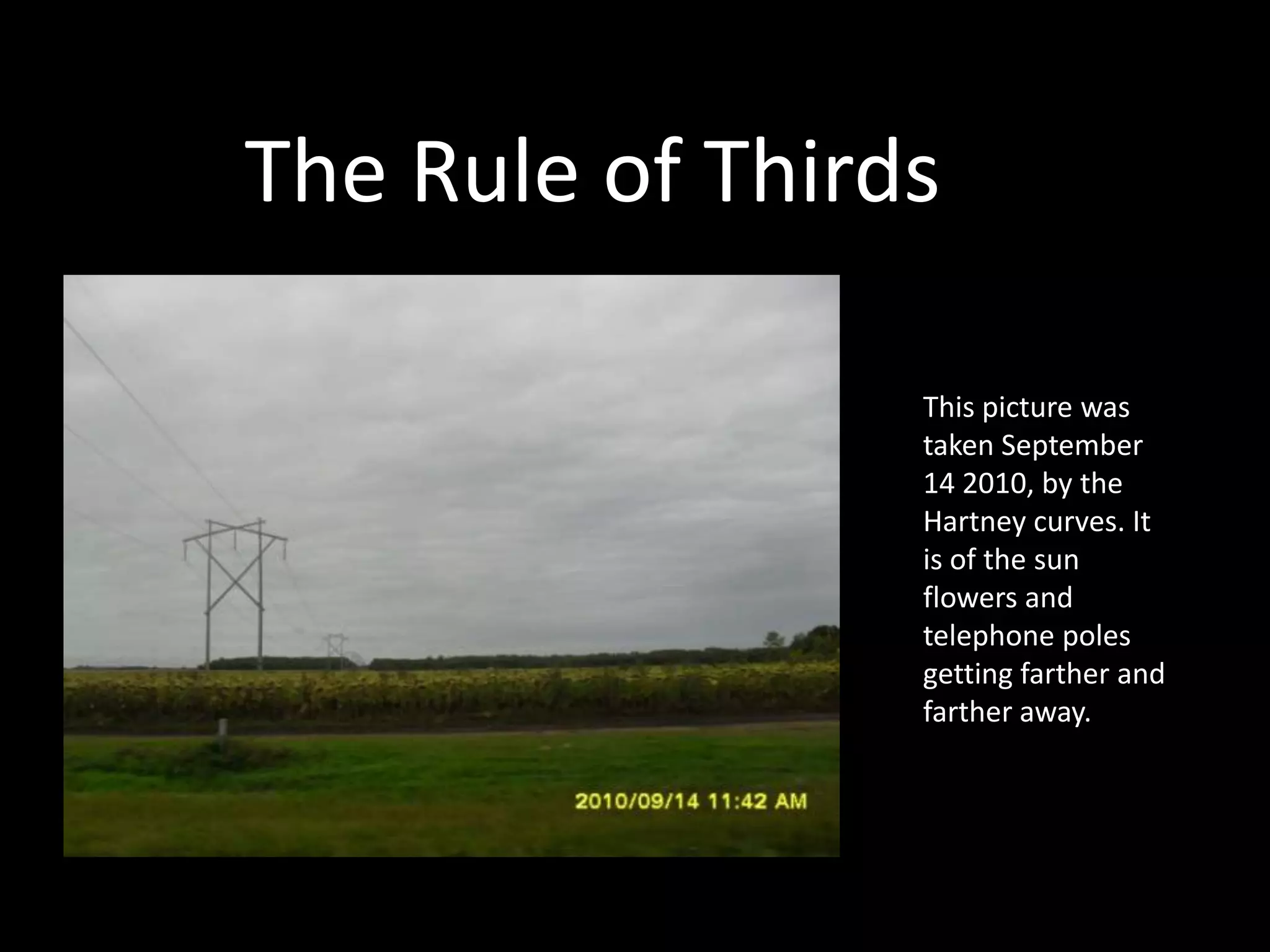 Composition Techniques Shana | PPTX