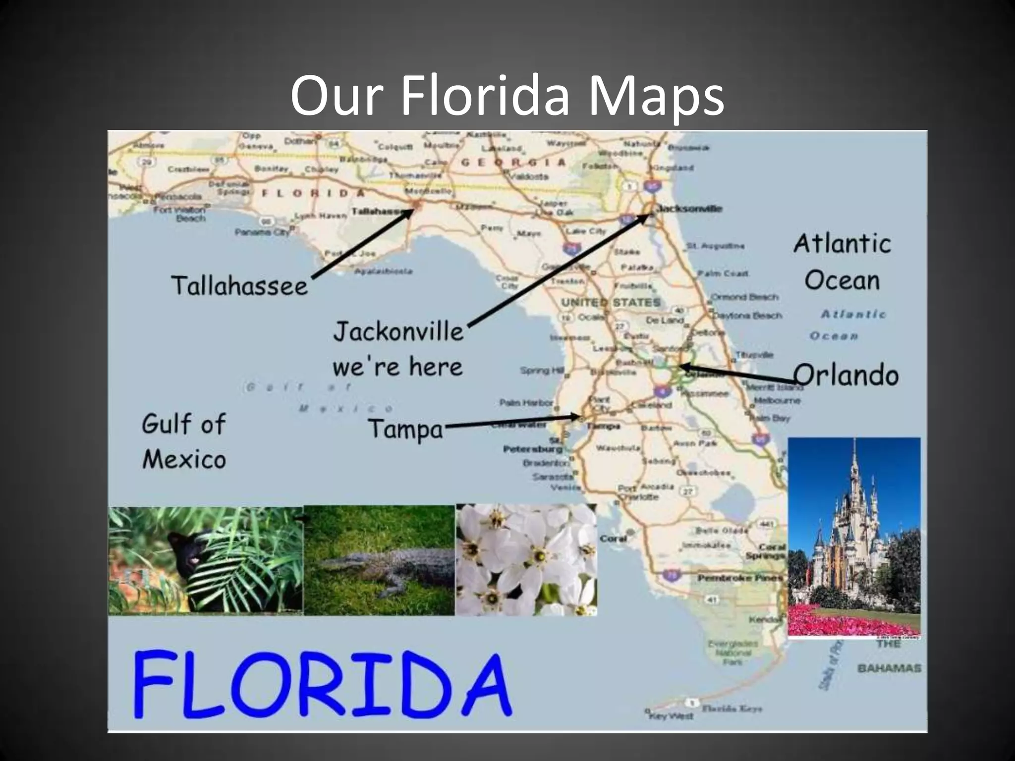 All About Florida | PPT