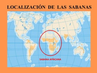 La agricultura en la sabana africana | PPTX