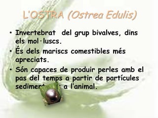 els mol·luscs | PPT