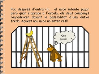 Els micos i els plàtans | PPT