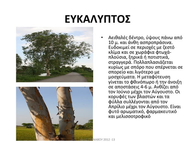 τα βοτανα και οι ιδιοτητες τους Power point | PPT