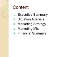 Sample Marketing Plan | PPTX