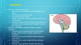 Sistem Saraf Dan Deria | PPTX