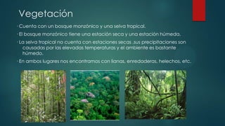Clima Ecuatorial y Tropical lluvioso. | PPTX