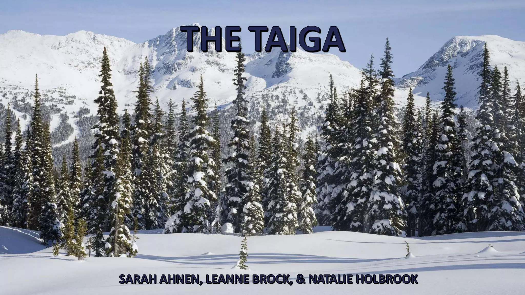 The Taiga Biome | PPTX