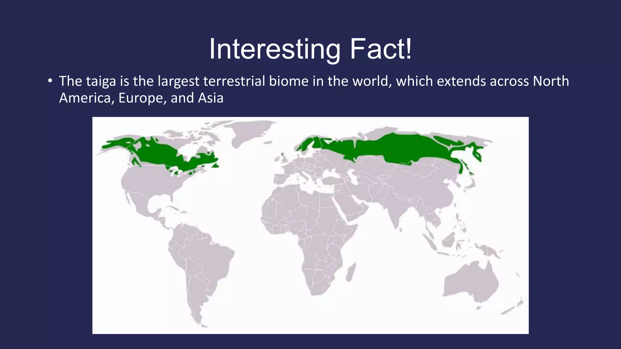 The Taiga Biome | PPTX