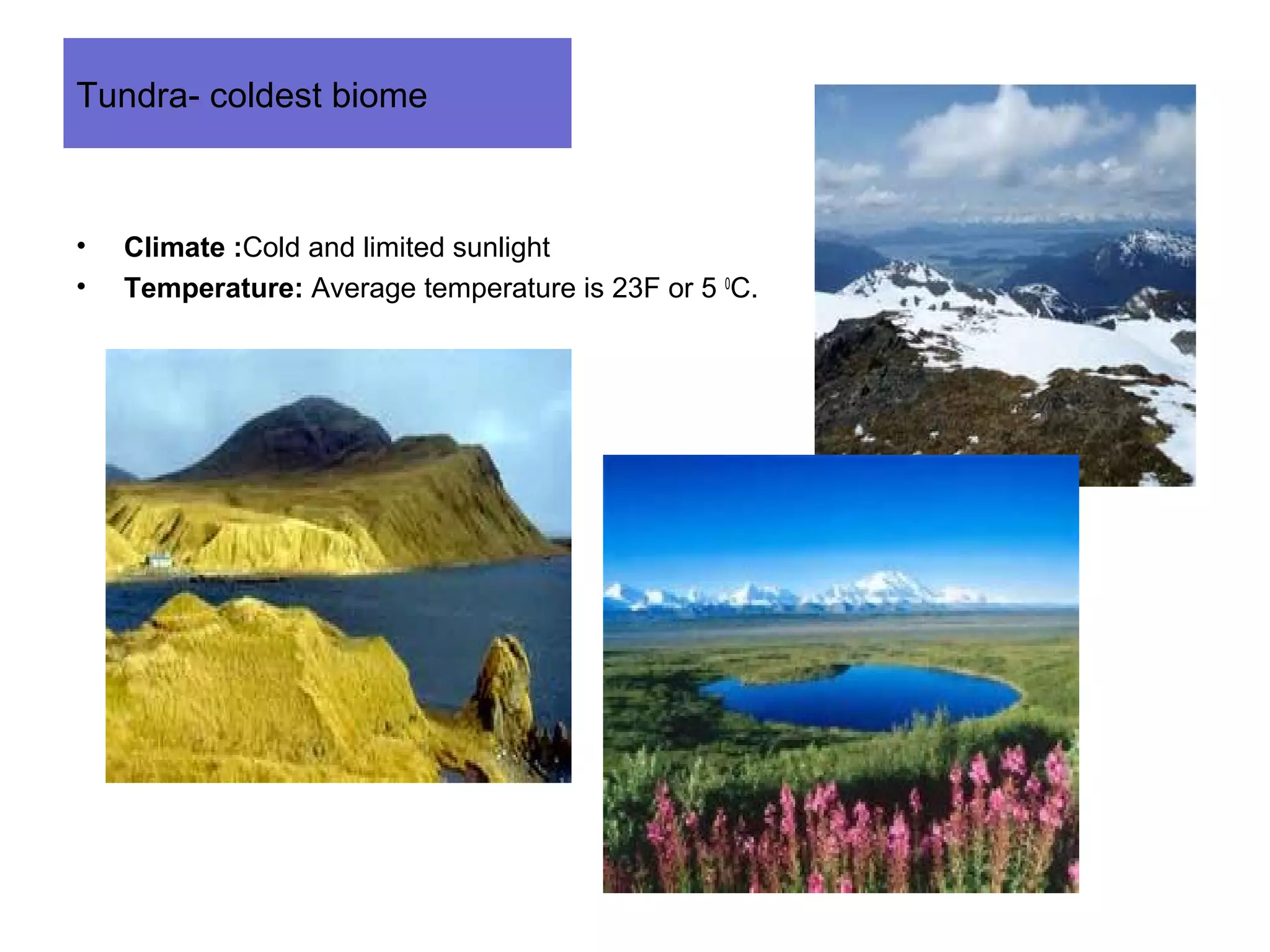 Powerpoint ..biomes | PPT
