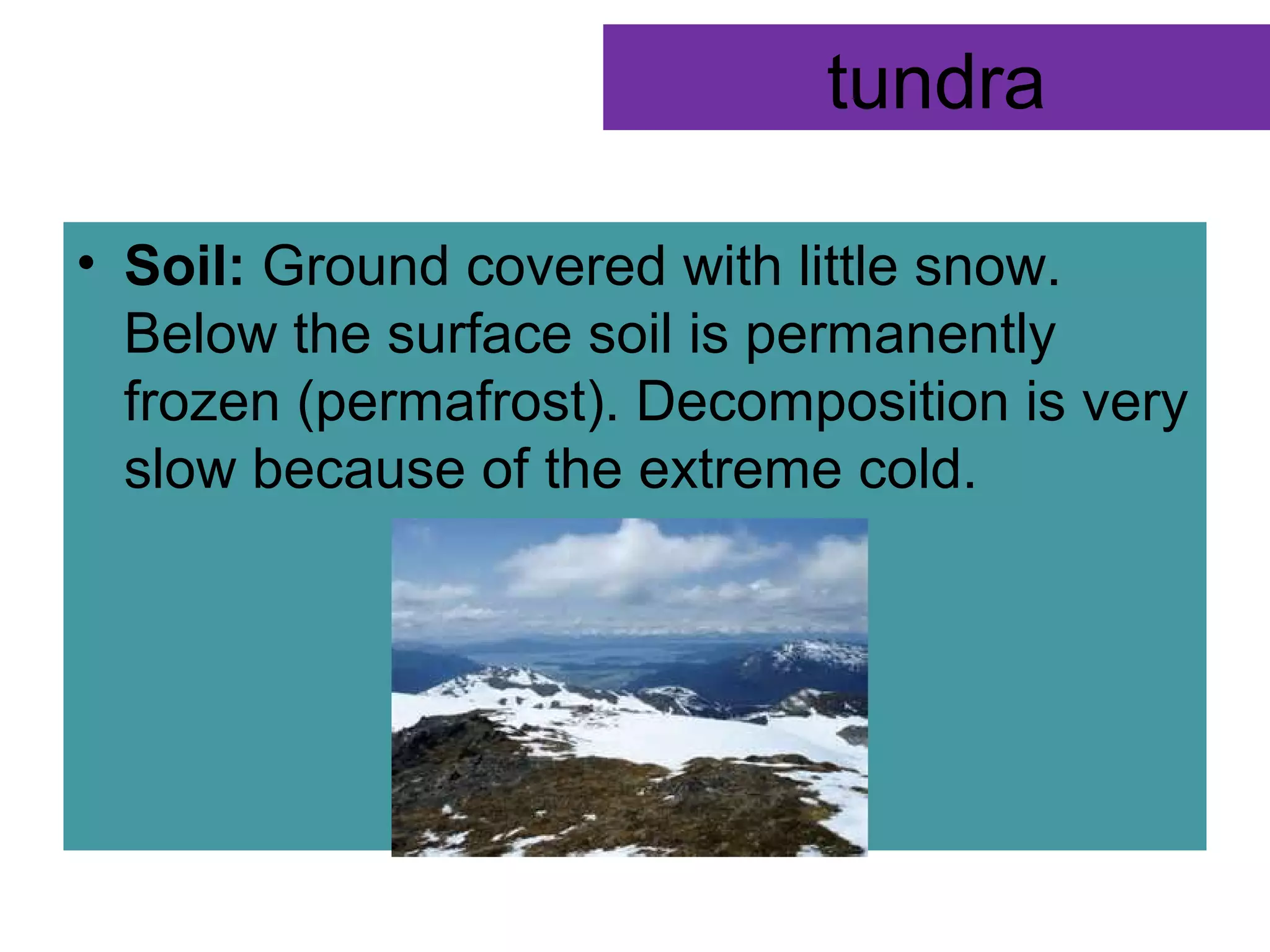 Powerpoint ..biomes | PPT