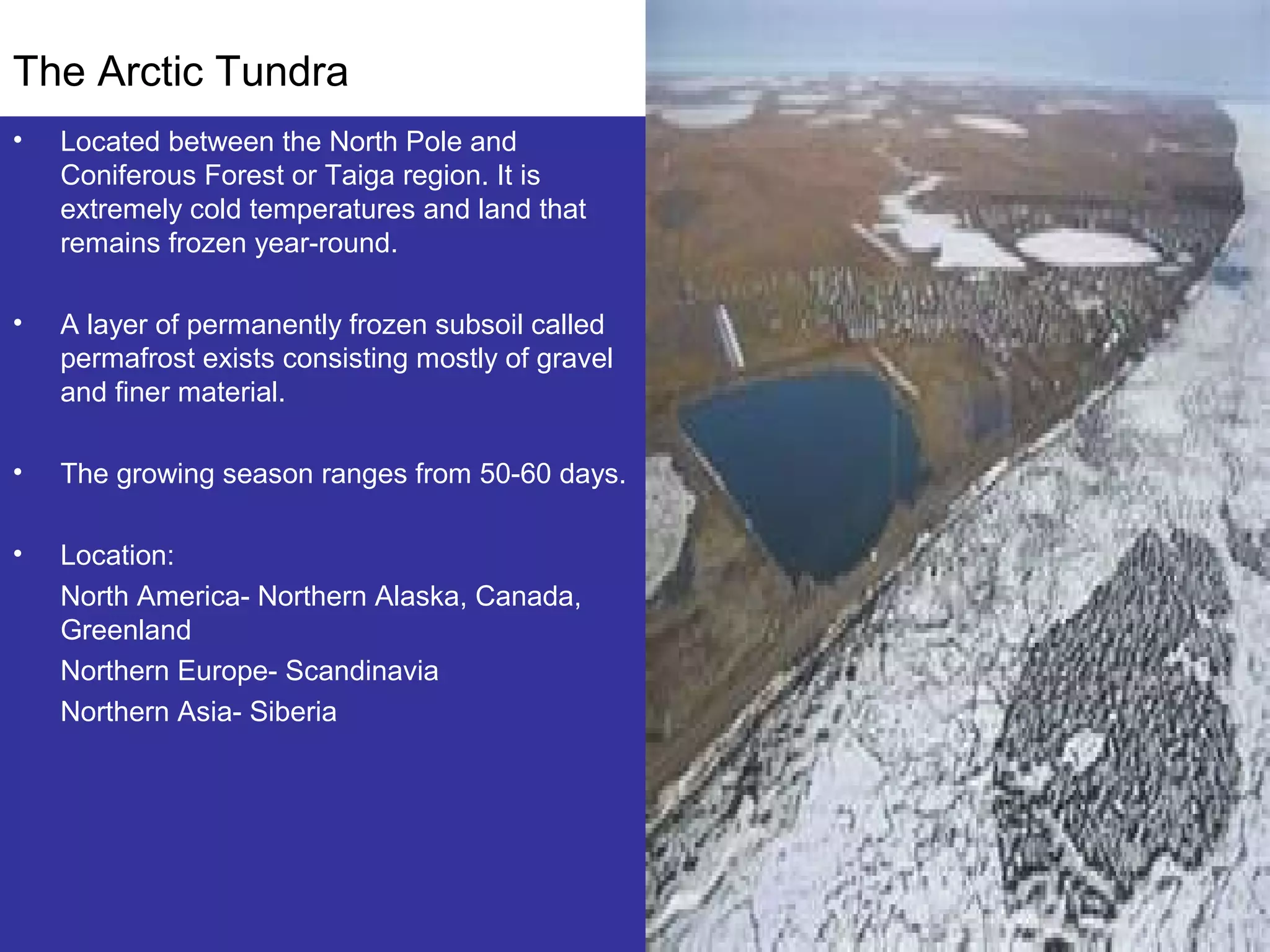 Powerpoint ..biomes | PPT