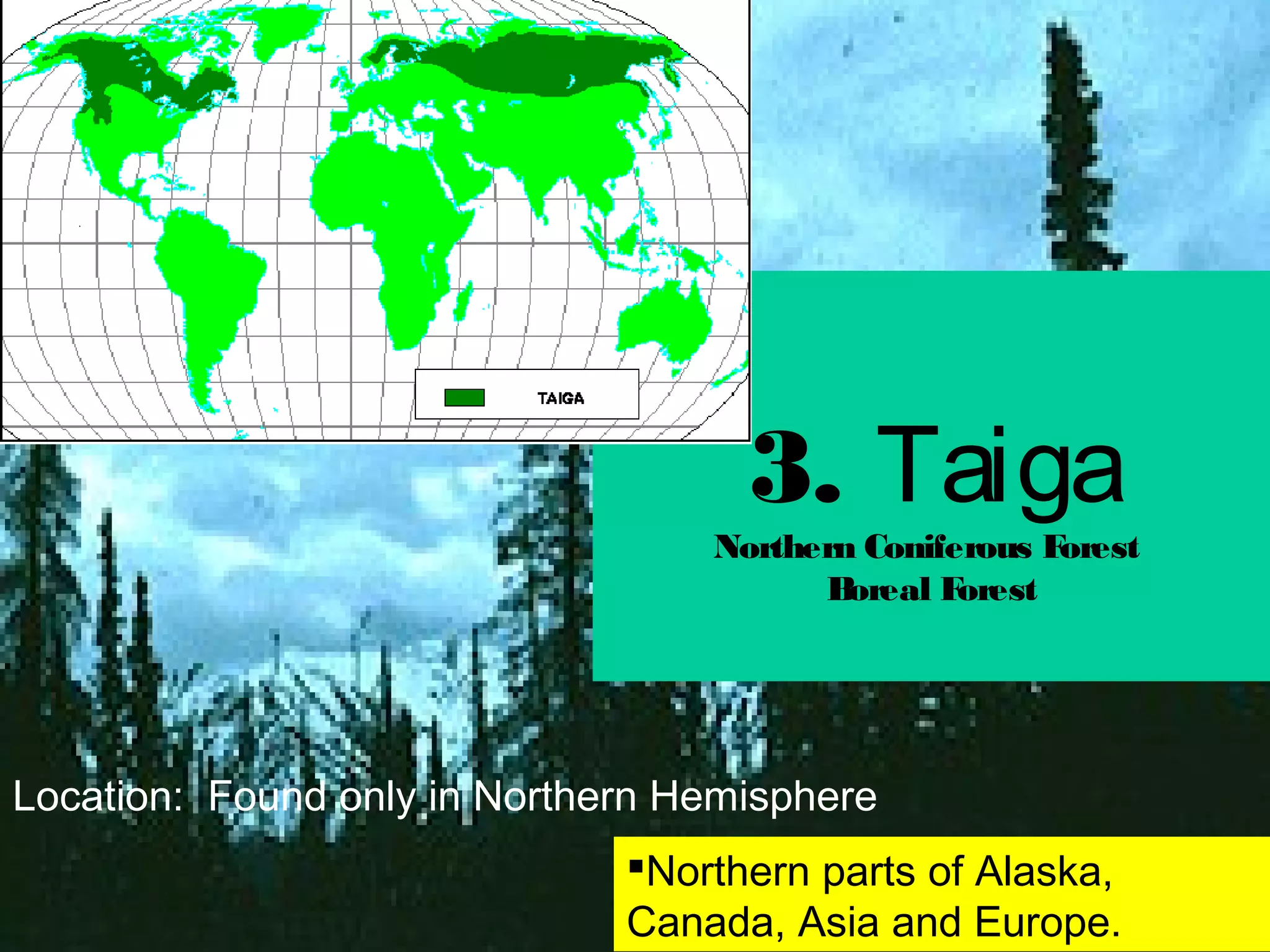 Powerpoint ..biomes | PPT