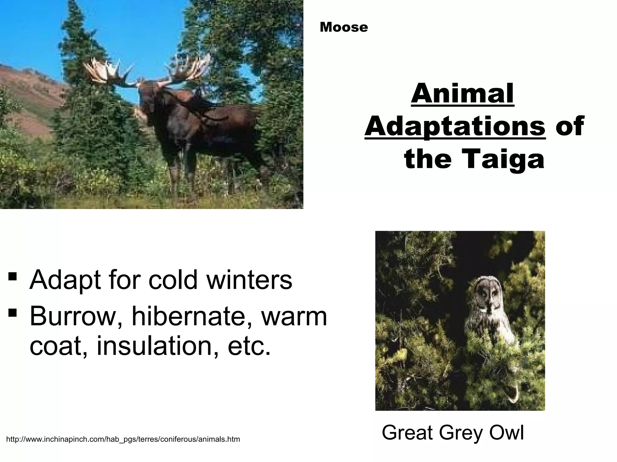 Powerpoint ..biomes | PPT