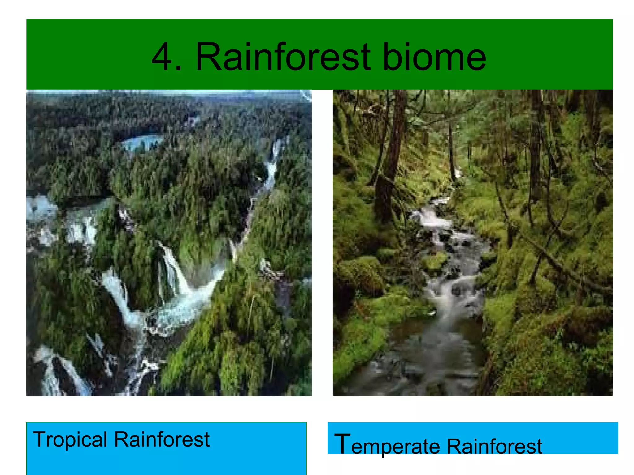 Powerpoint ..biomes | PPT