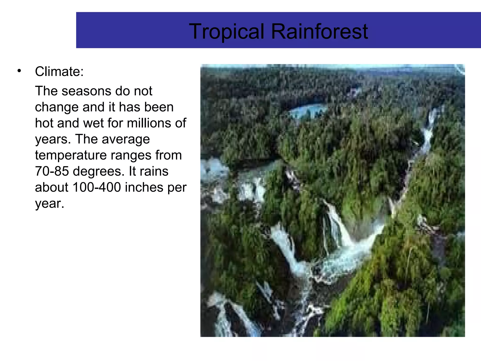 Powerpoint ..biomes | PPT