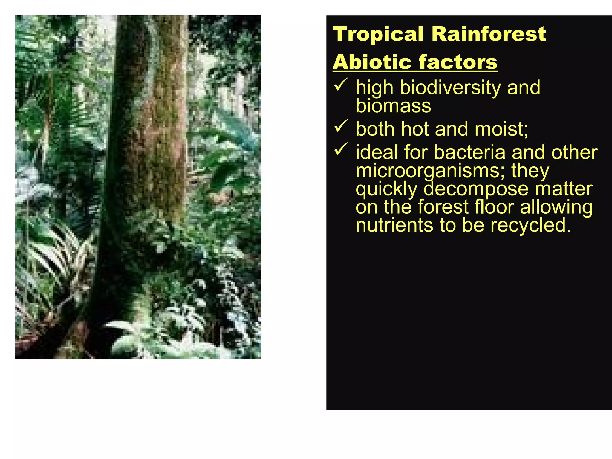 Powerpoint ..biomes | PPT