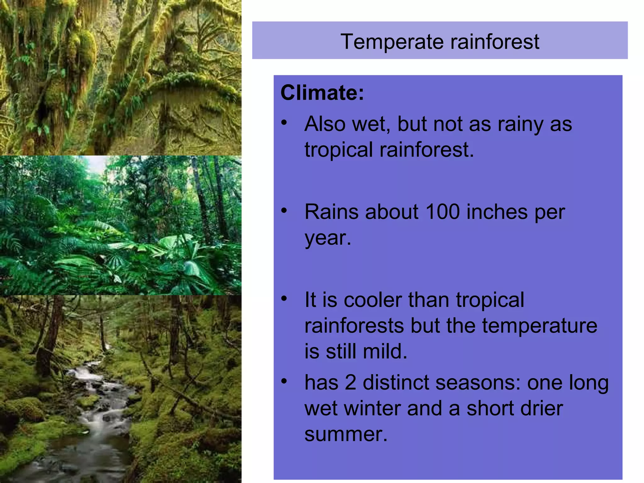 Powerpoint ..biomes | PPT