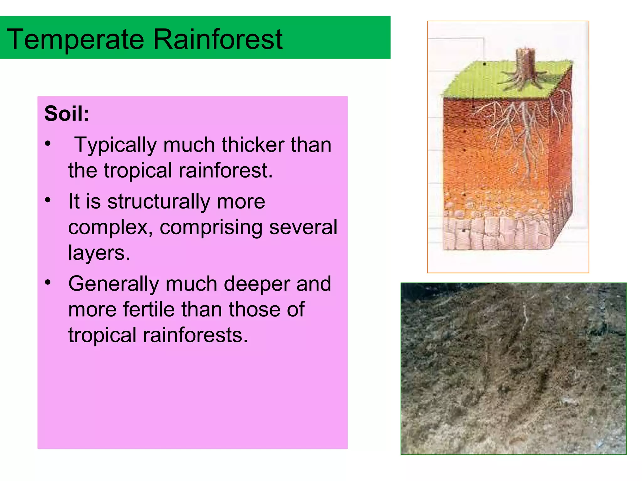 Powerpoint ..biomes | PPT