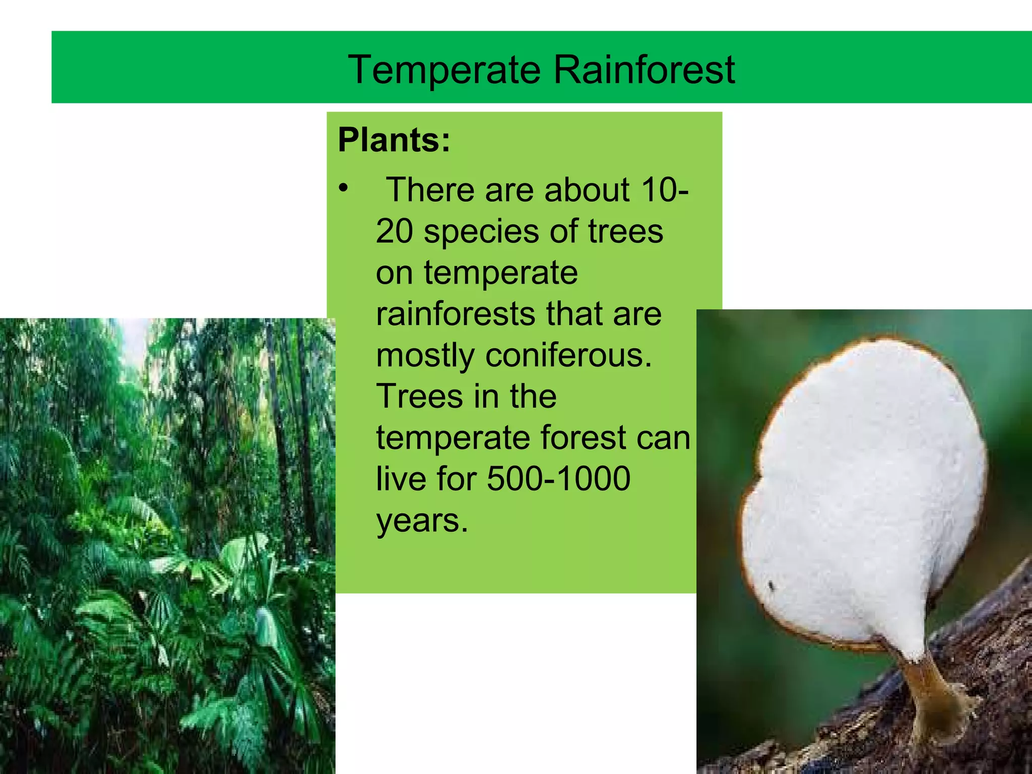 Powerpoint ..biomes | PPT