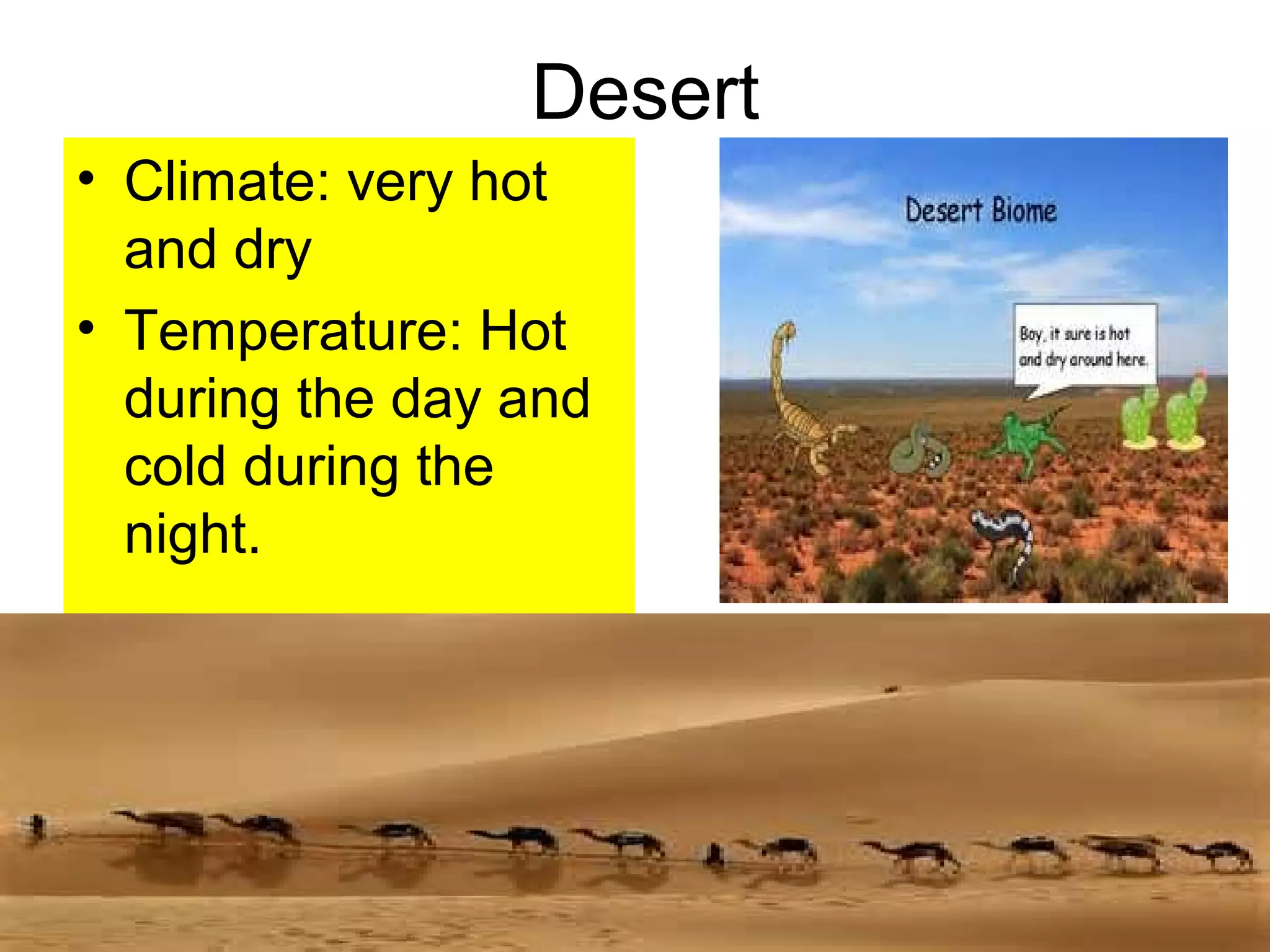 Powerpoint ..biomes | PPT