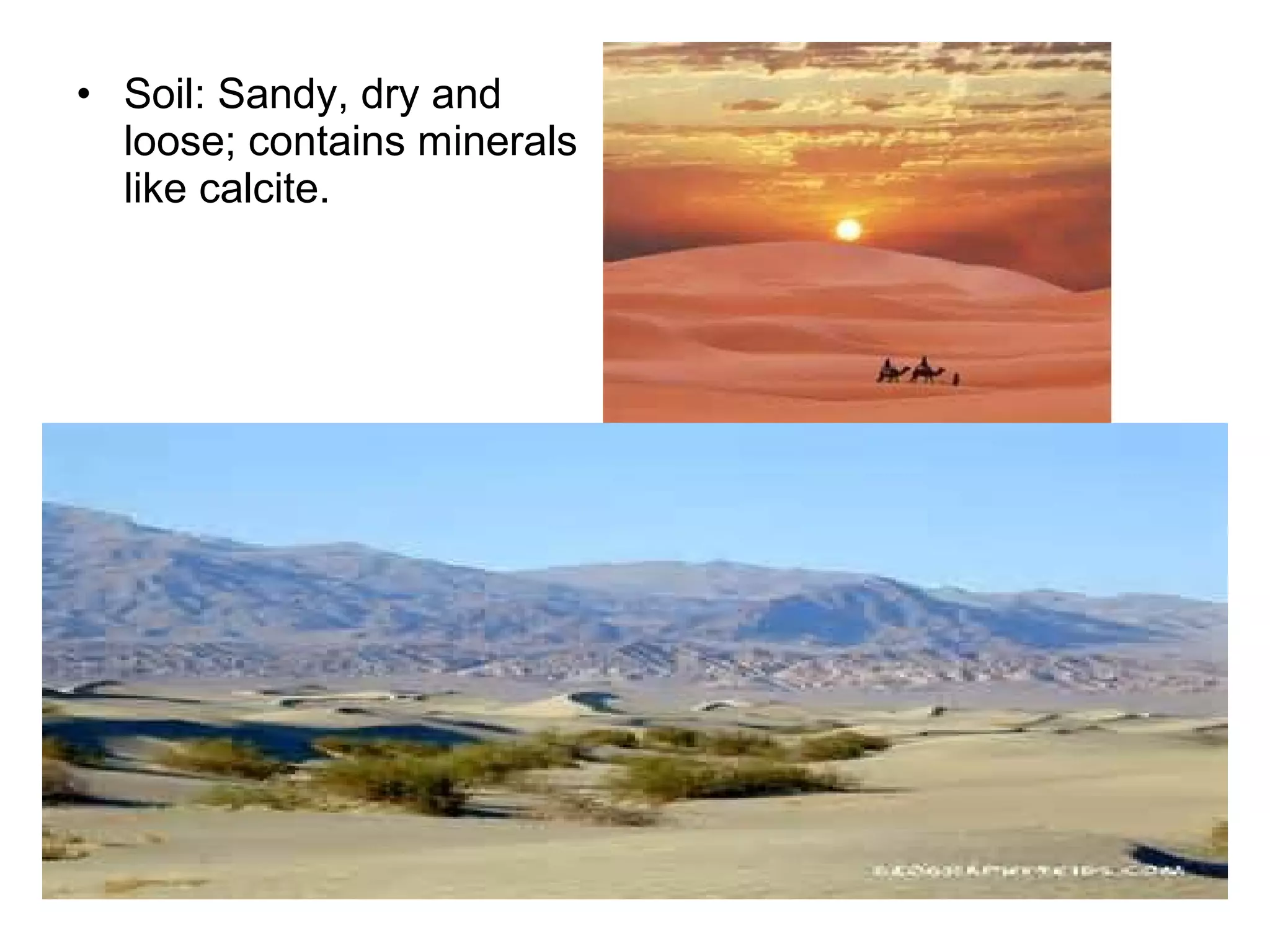 Powerpoint ..biomes | PPT