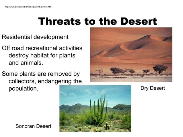 Powerpoint ..biomes | PPT