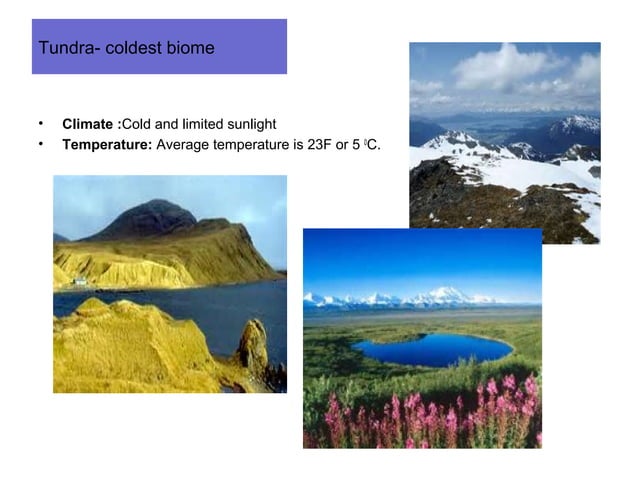 Powerpoint ..biomes | PPT