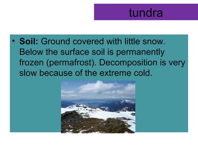 Powerpoint ..biomes | PPT