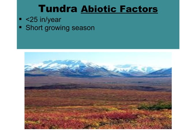 Powerpoint ..biomes | PPT