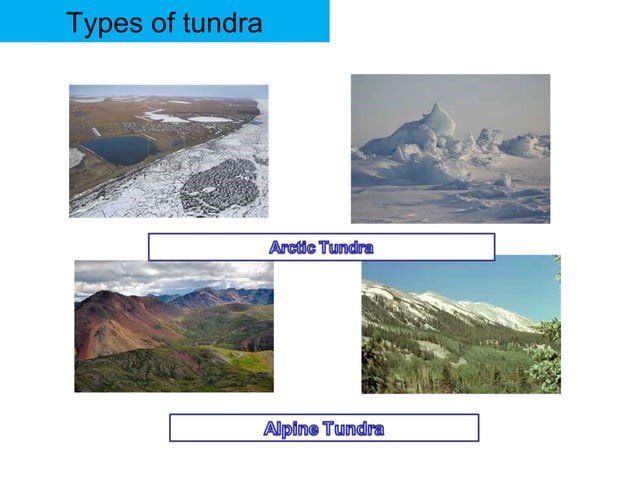 Powerpoint ..biomes | PPT