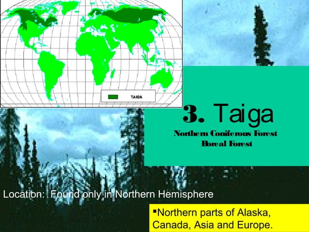 Powerpoint ..biomes | PPT