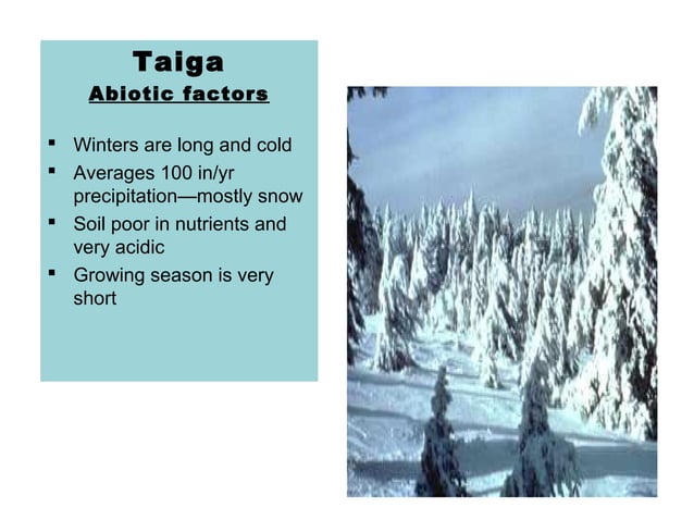 Powerpoint ..biomes | PPT