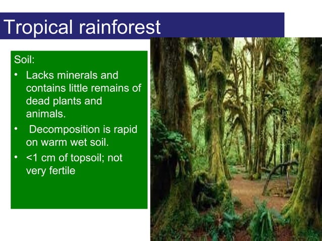Powerpoint ..biomes | PPT