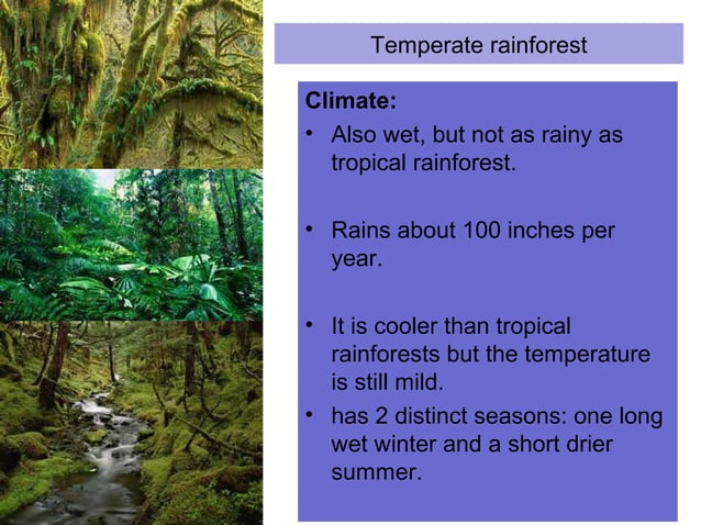 Powerpoint ..biomes | PPT