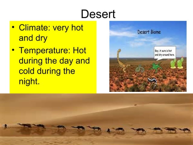 Powerpoint ..biomes | PPT