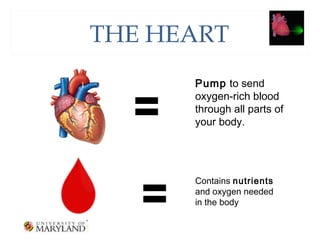 Understanding the Heart | PPT