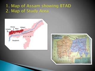 WOMEN PARTICIPATION AT GRASS-ROOT POLITICS IN BTAD | PPTX | Civic ...