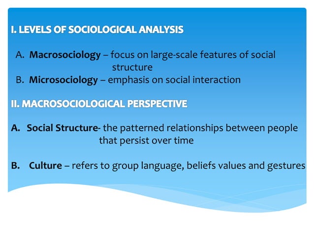 Social Structure and Social Interaction | PPTX