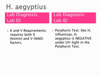 Haemophilus aegyptius | PPTX